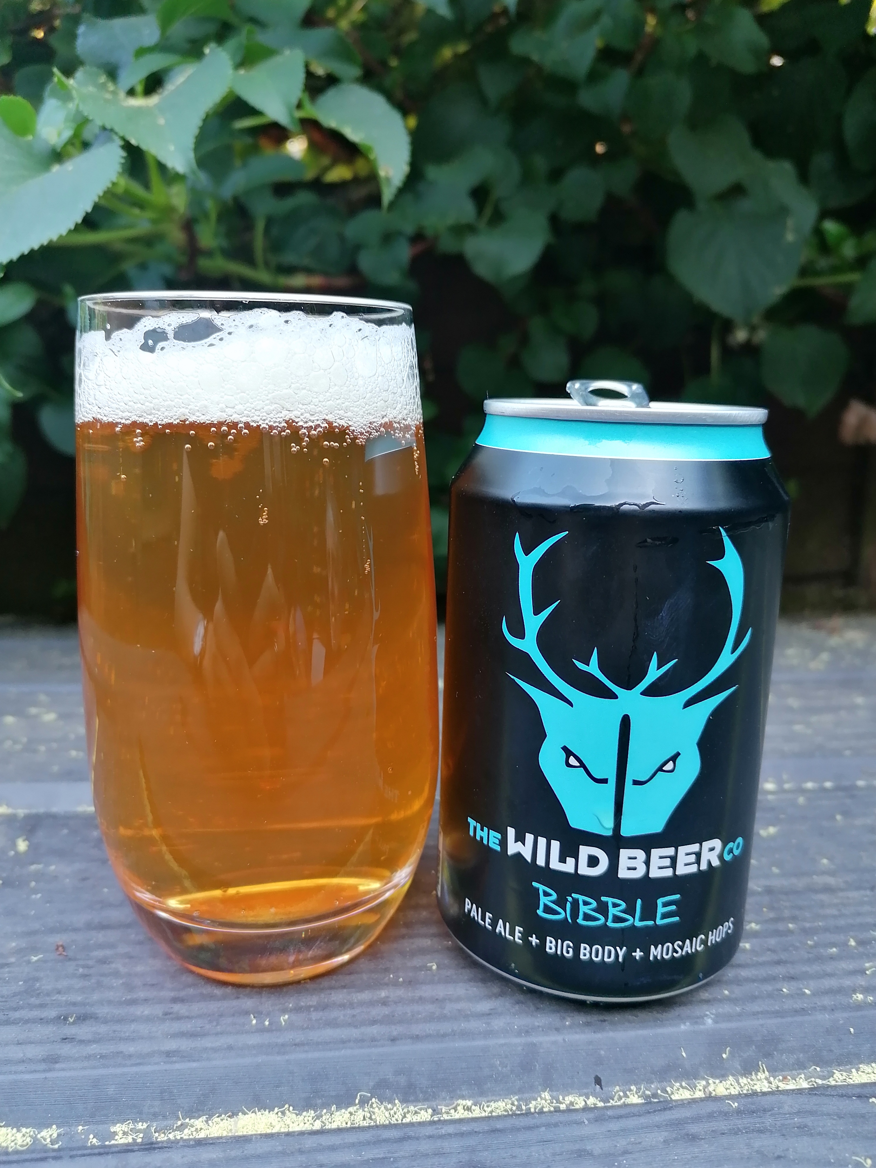 Beer Review: Bibble – The Wild Beer Co. – Lorenzo Beer Reviews