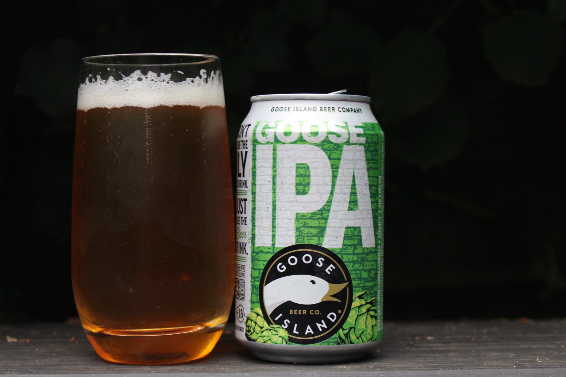 Beer Review: Goose IPA – Goose Island Beer Co. – Lorenzo Beer Reviews