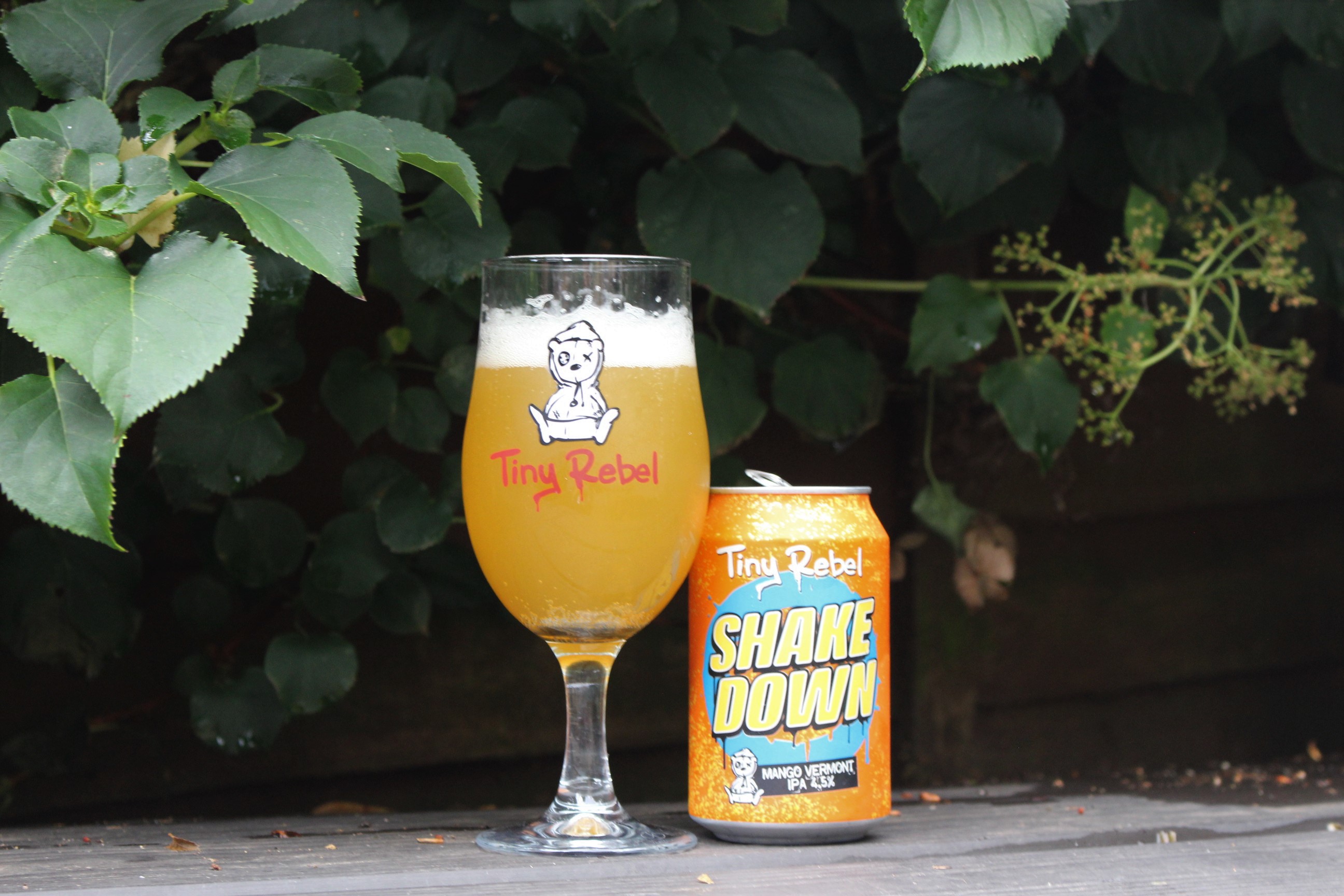 Beer Review: Shake Down – Tiny Rebel Brew Co. – Lorenzo Beer Reviews