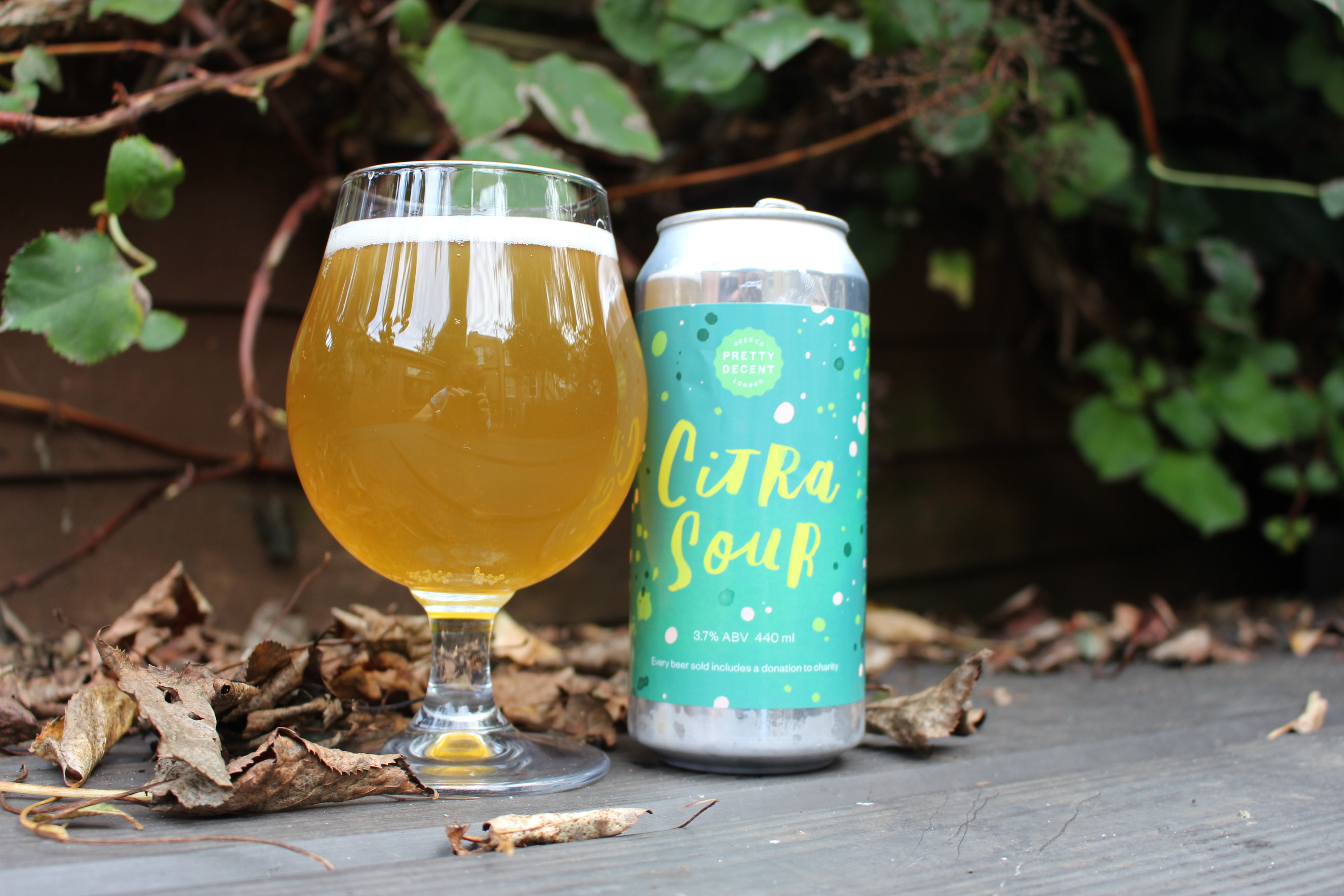 Beer Review: Citra Sour – Pretty Decent Beer Co. – Lorenzo Beer Reviews