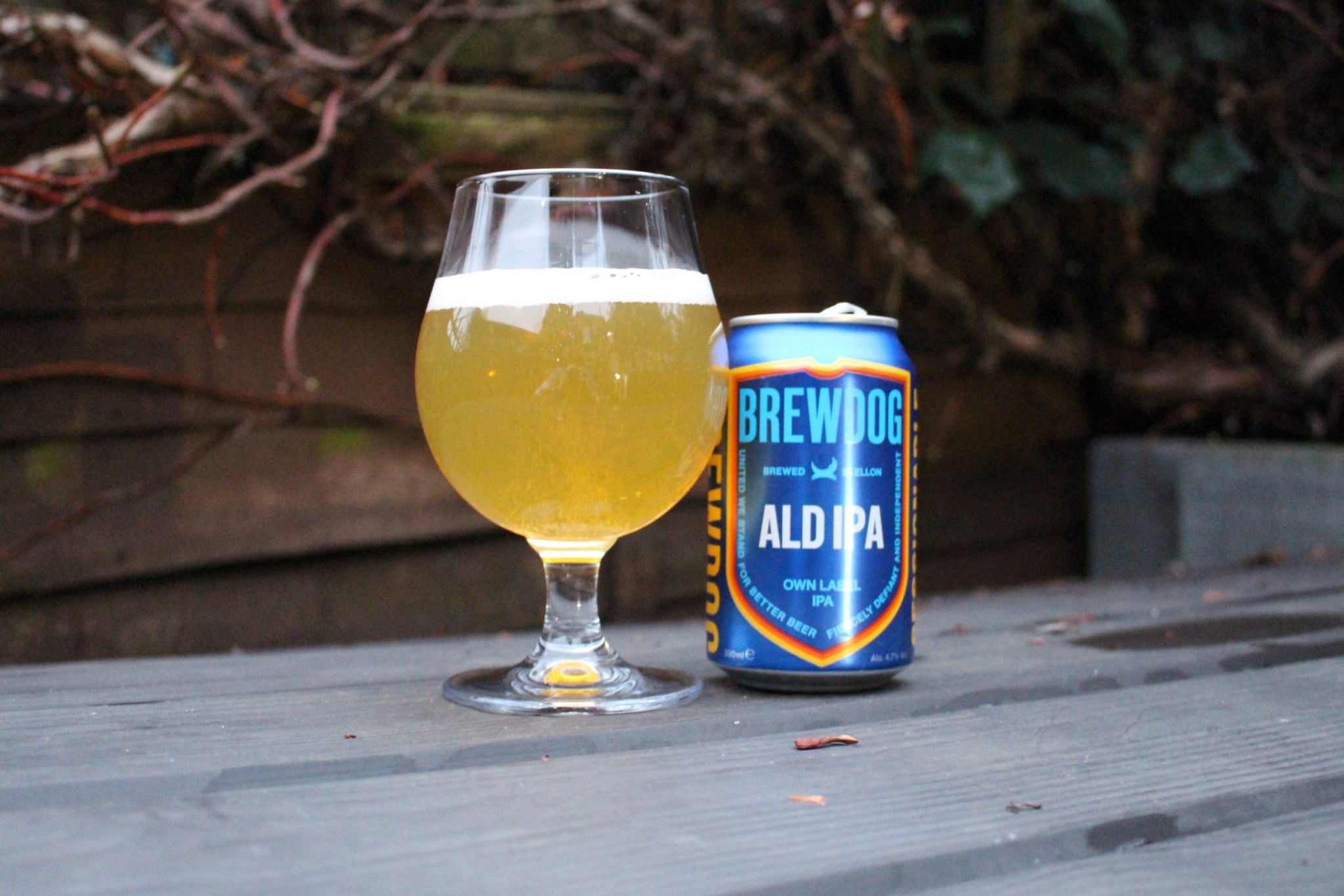 Beer Review: ALD IPA // Punk IPA // Anti Establishment – BrewDog & Aldi ...