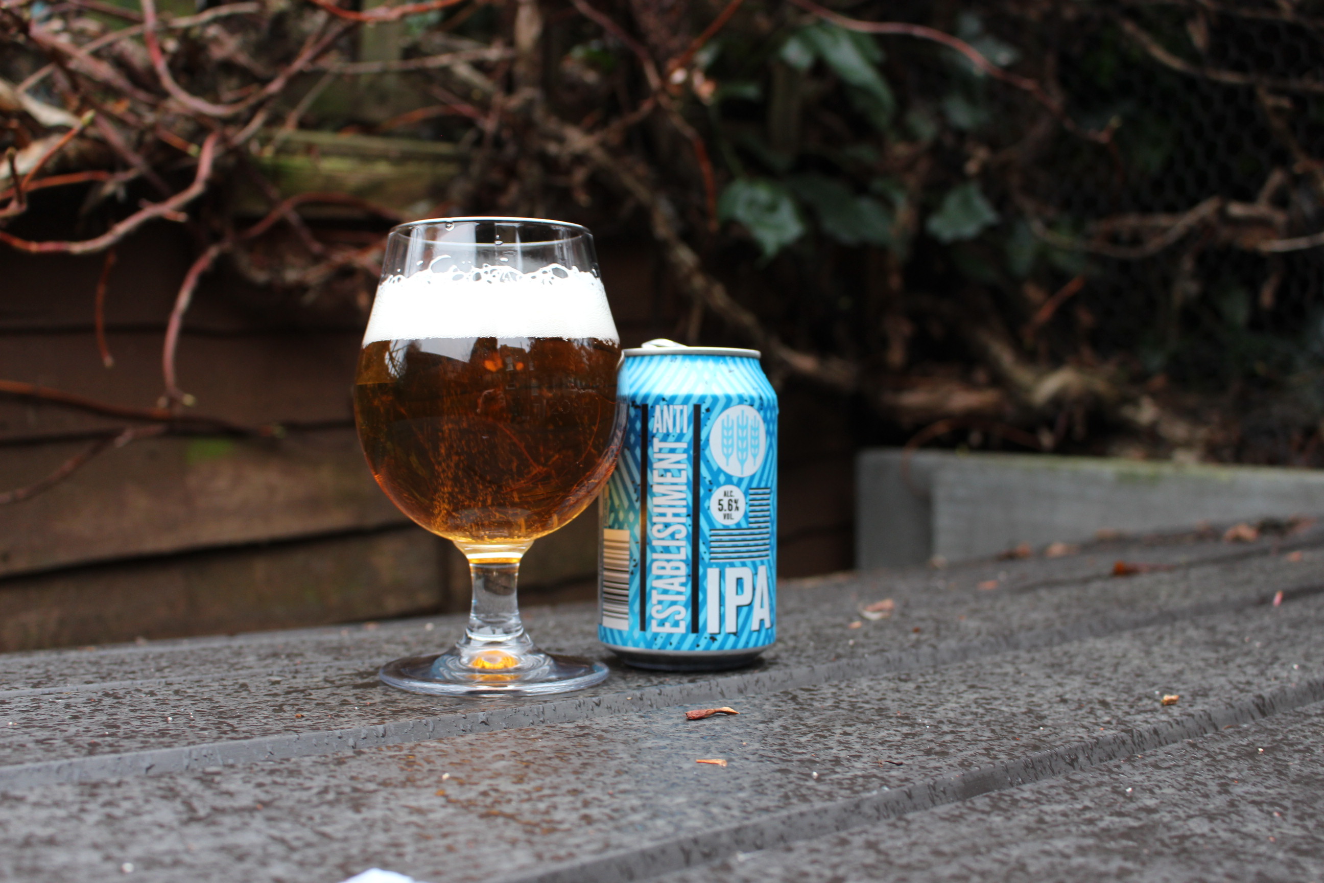Beer Review: ALD IPA // Punk IPA // Anti Establishment – BrewDog & Aldi ...