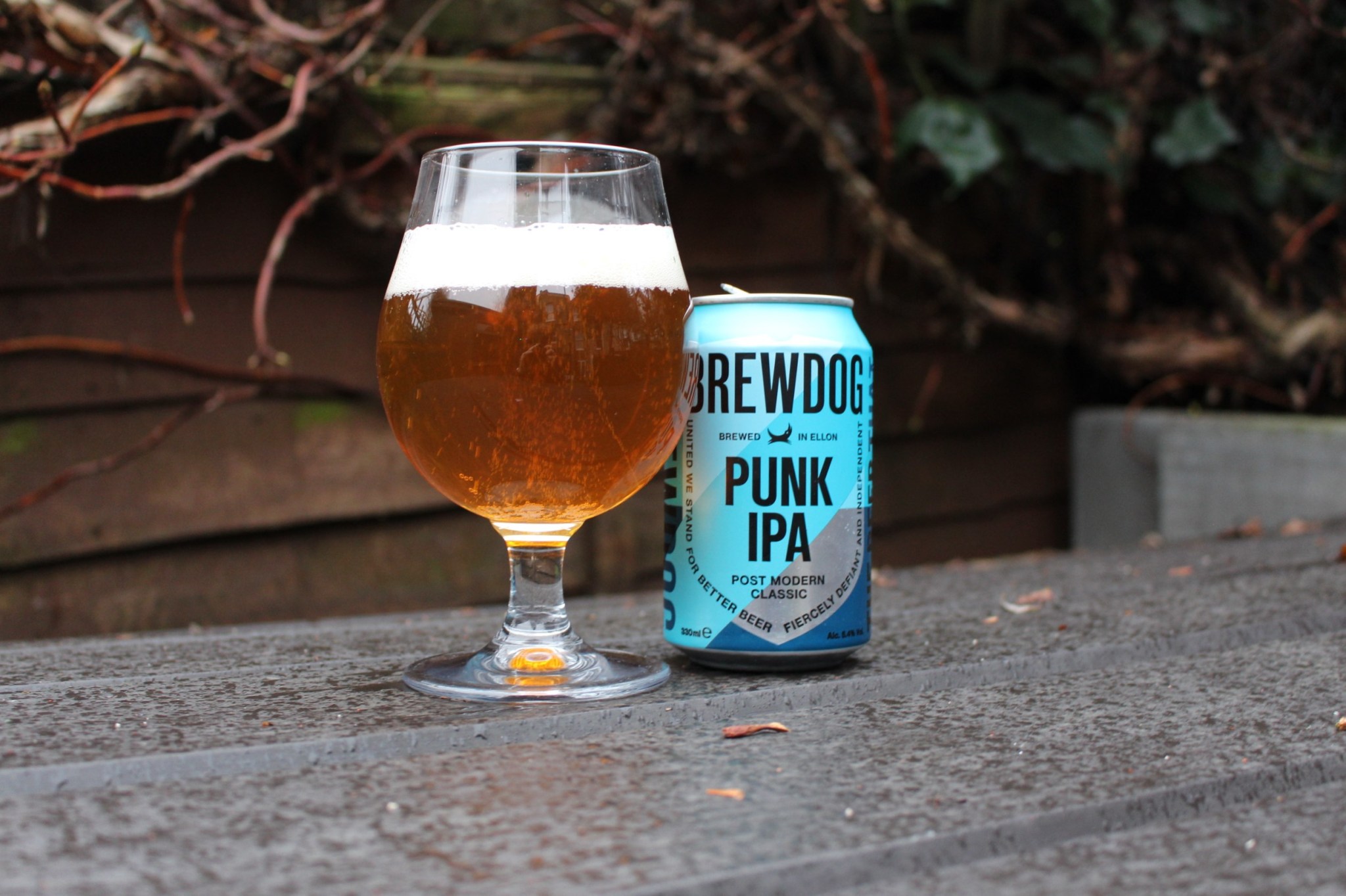Beer Review: ALD IPA // Punk IPA // Anti Establishment – BrewDog & Aldi ...