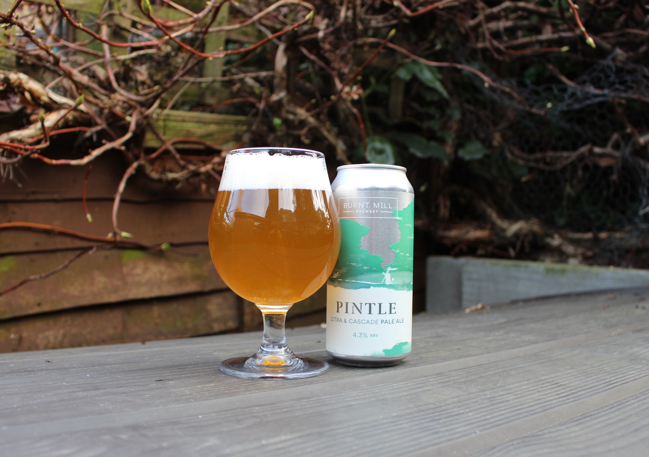Beer Review: Pintle – Burnt Mill Brewery – Lorenzo Beer Reviews