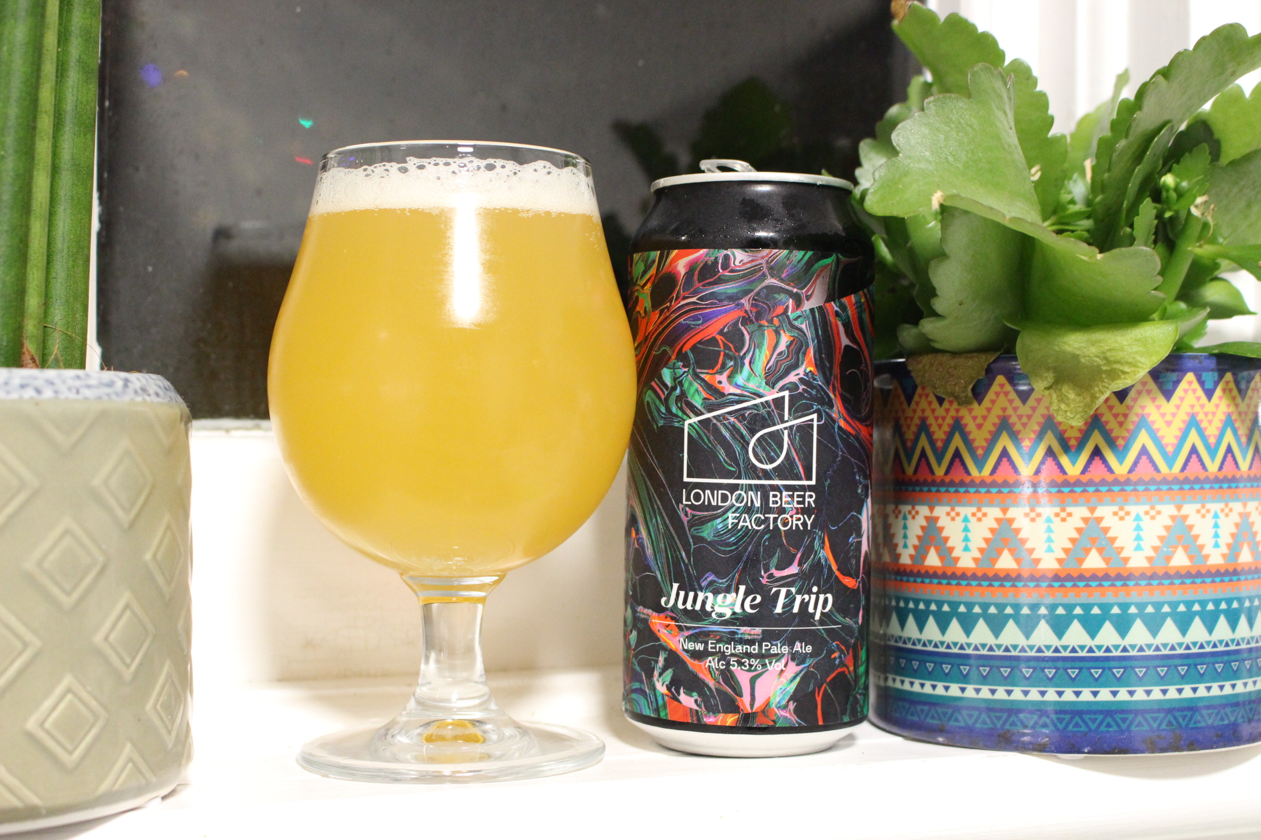 Beer Review: Jungle Trip – London Beer Factory – Lorenzo Beer Reviews